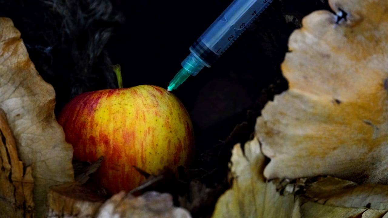 Alimentos Genéticamente Modificados: ¿Garantía de Seguridad Alimentaria ...